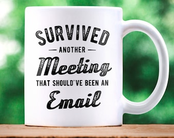 Co-worker Office Gift Idea, I Survived Another Meeting That Should Have ...