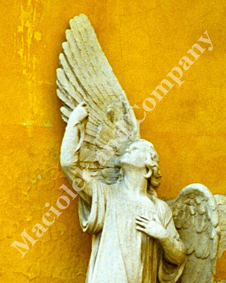 Angel, Archangel, European Statue, Photo, Wall Art, Czech Statue ...