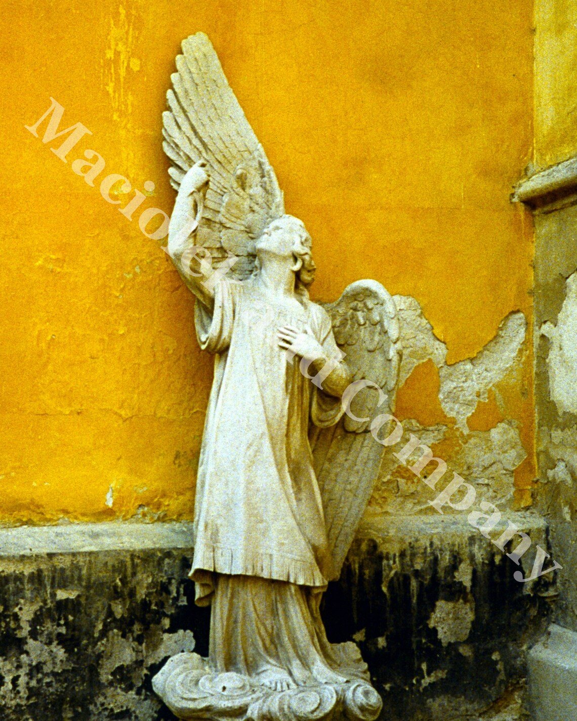 Angel, Archangel, European Statue, Photo, Wall Art, Czech Statue ...