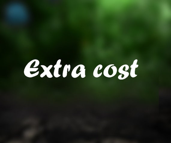 Additional Cost | Etsy