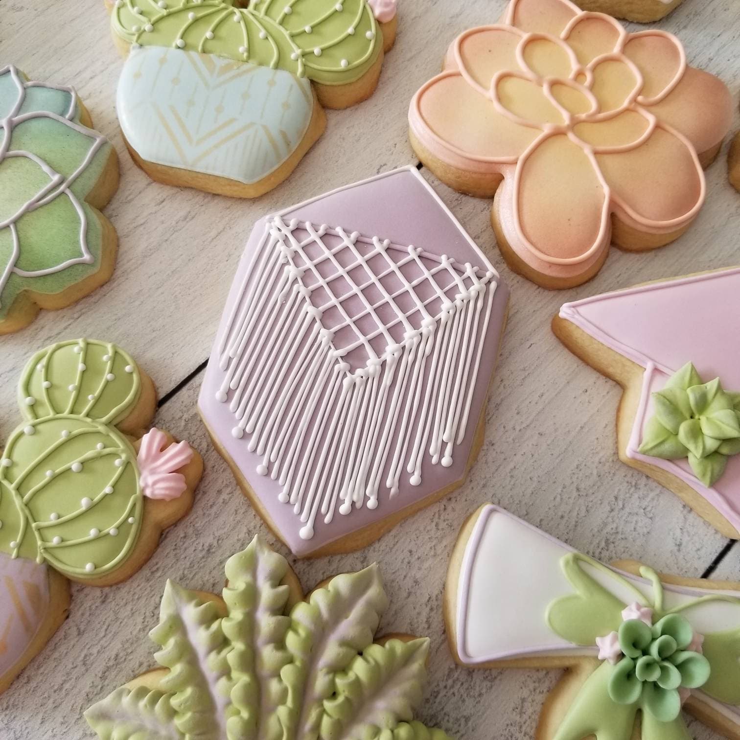 Boho Chic Graduation Cookies 2 Dozen Succulent Macrame | Etsy