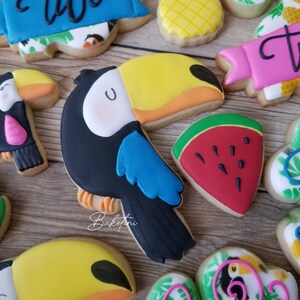 Toucan Cookies 1 Dozen Tropical Tutti Frutti Fruit 2nd Birthday Party ...