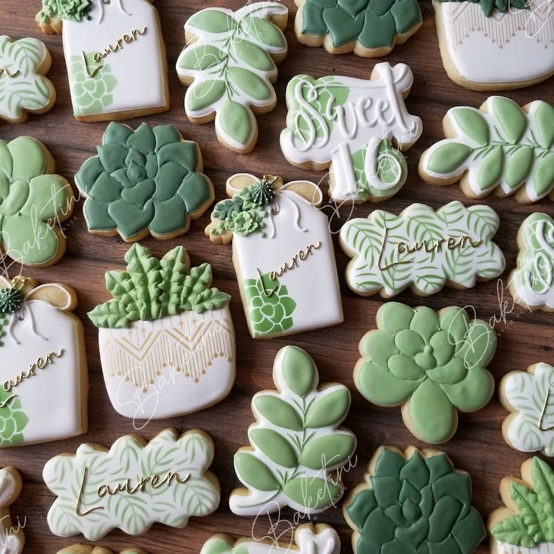 Succulent Cookies - Etsy