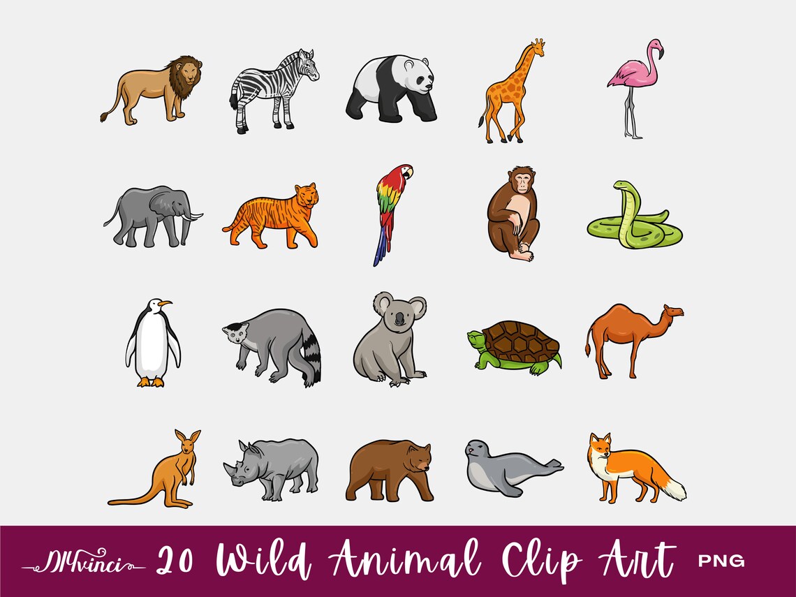 20 Wild Animal Clip Art PNG Personal & Commercial Use | Etsy