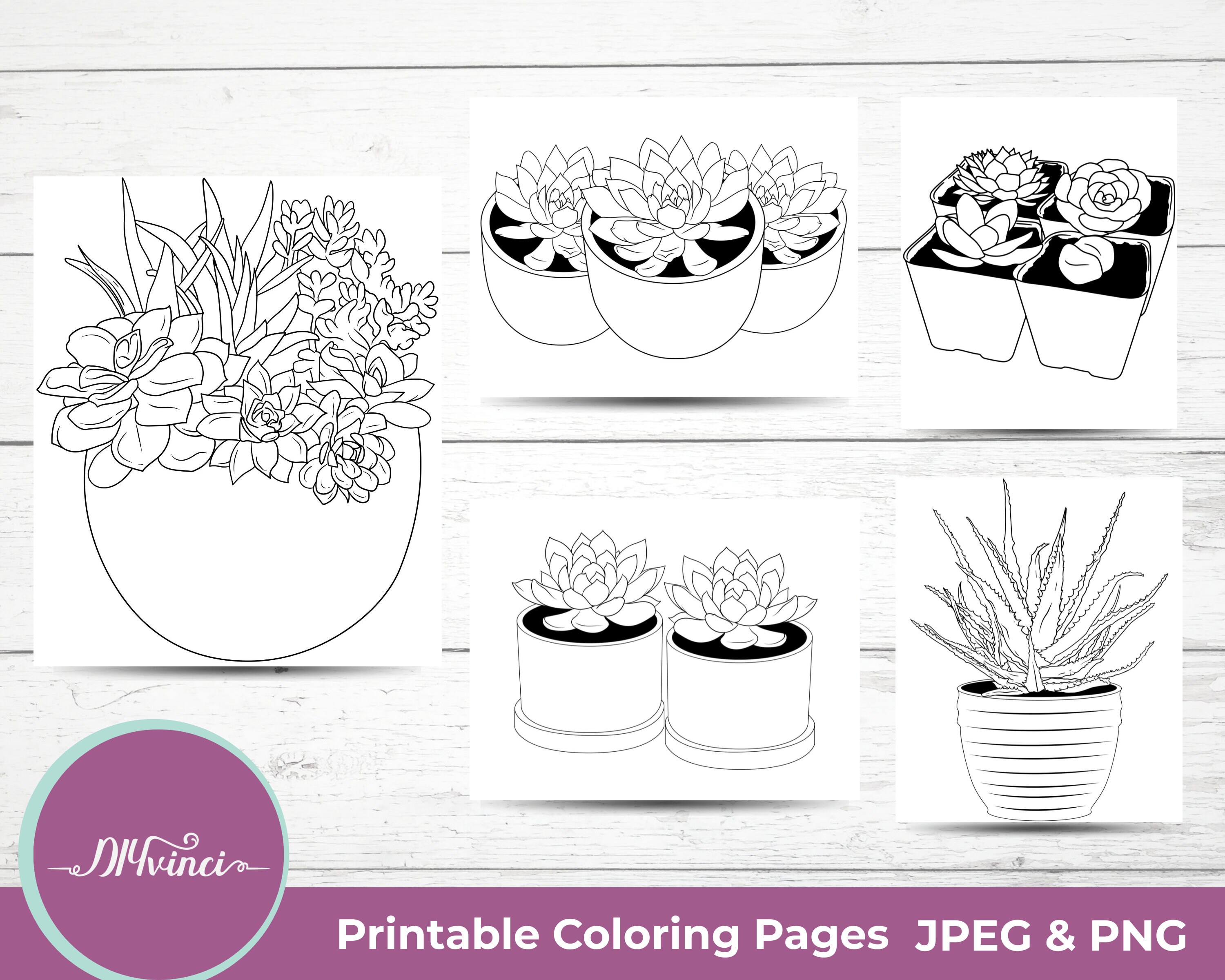 Succulent Printable Coloring Pages JPEG & PNG Personal and Commercial ...