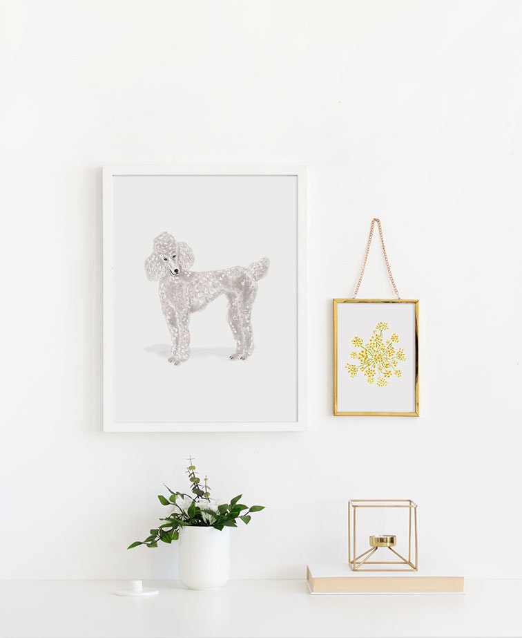 Gray Poodle Art Print Standard Poodle Illustration Pet | Etsy