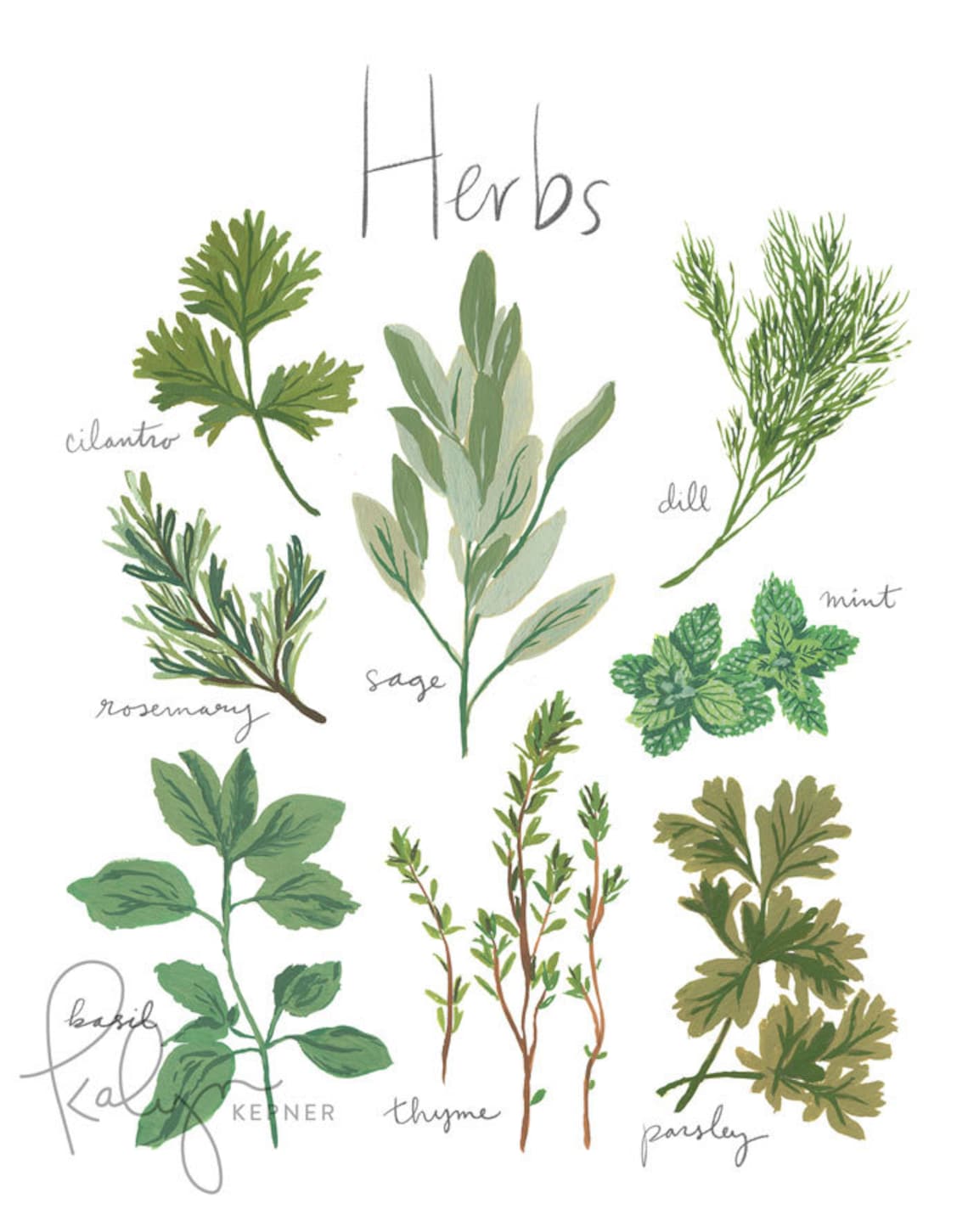 Kitchen Art, Herbs Art Print, Herb Print, Kitchen Decor, Food Artwork ...