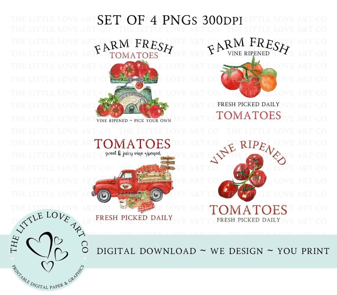 4 X Farm Fresh Tomato PNG Designs, Tomato Sublimation, Farm Fresh ...