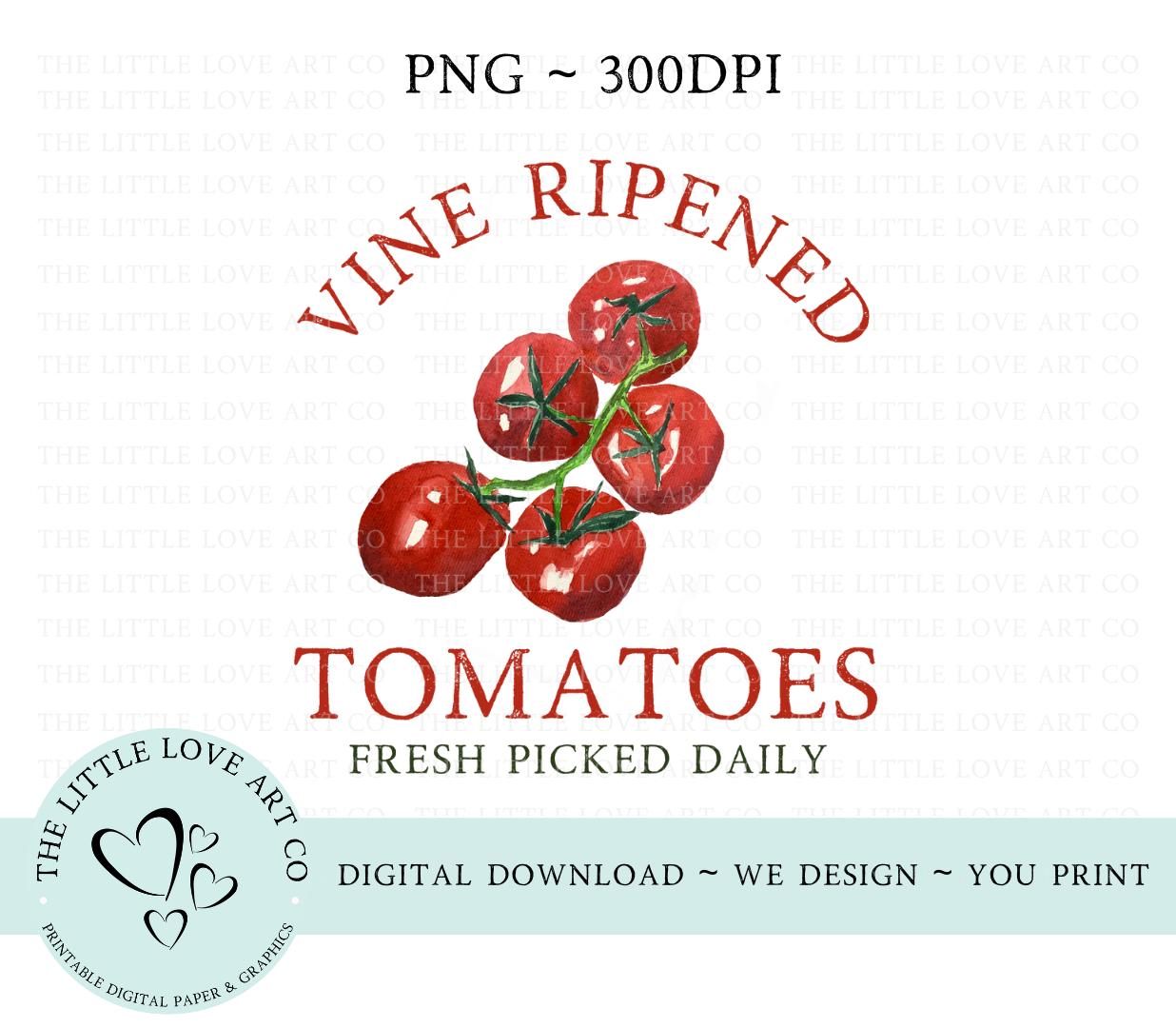 4 X Farm Fresh Tomato PNG Designs, Tomato Sublimation, Farm Fresh ...
