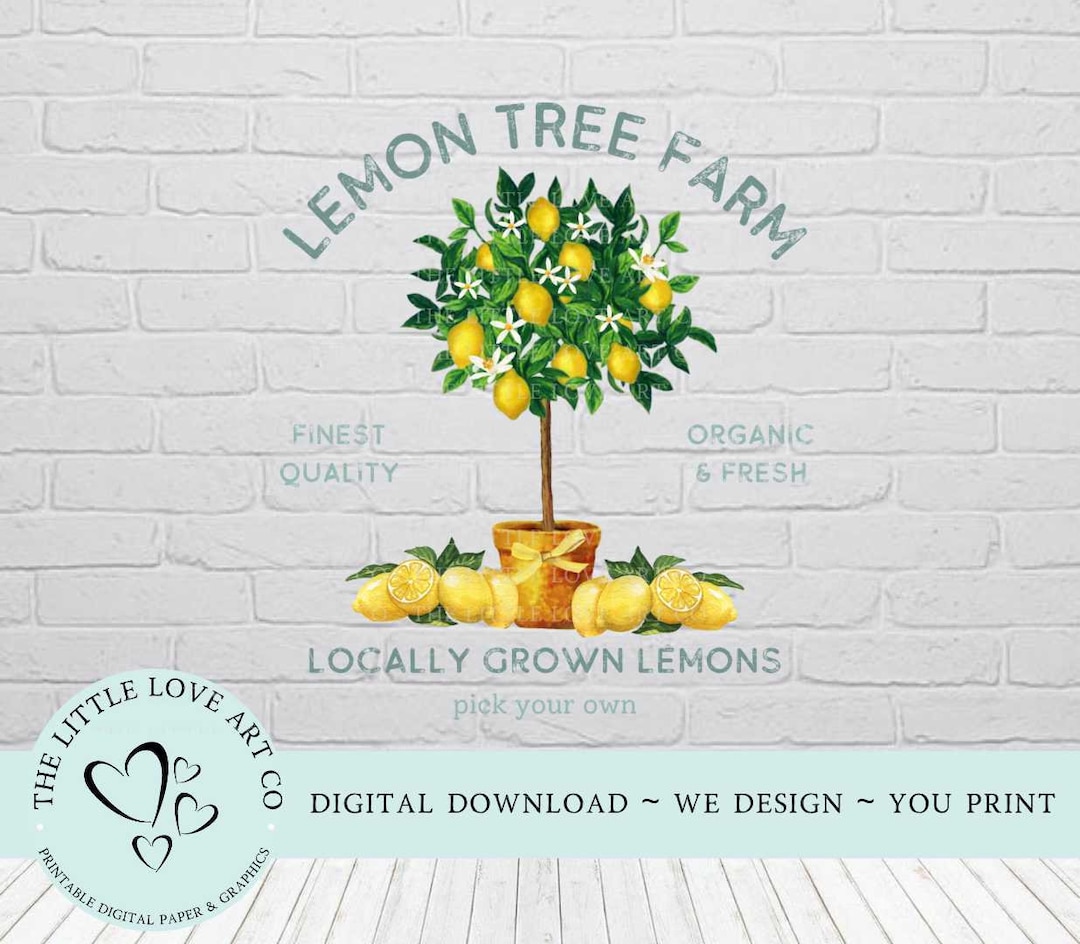 Lemon Tree Farm Sign Design, Farmers Market Lemons Png, Summer Lemons ...