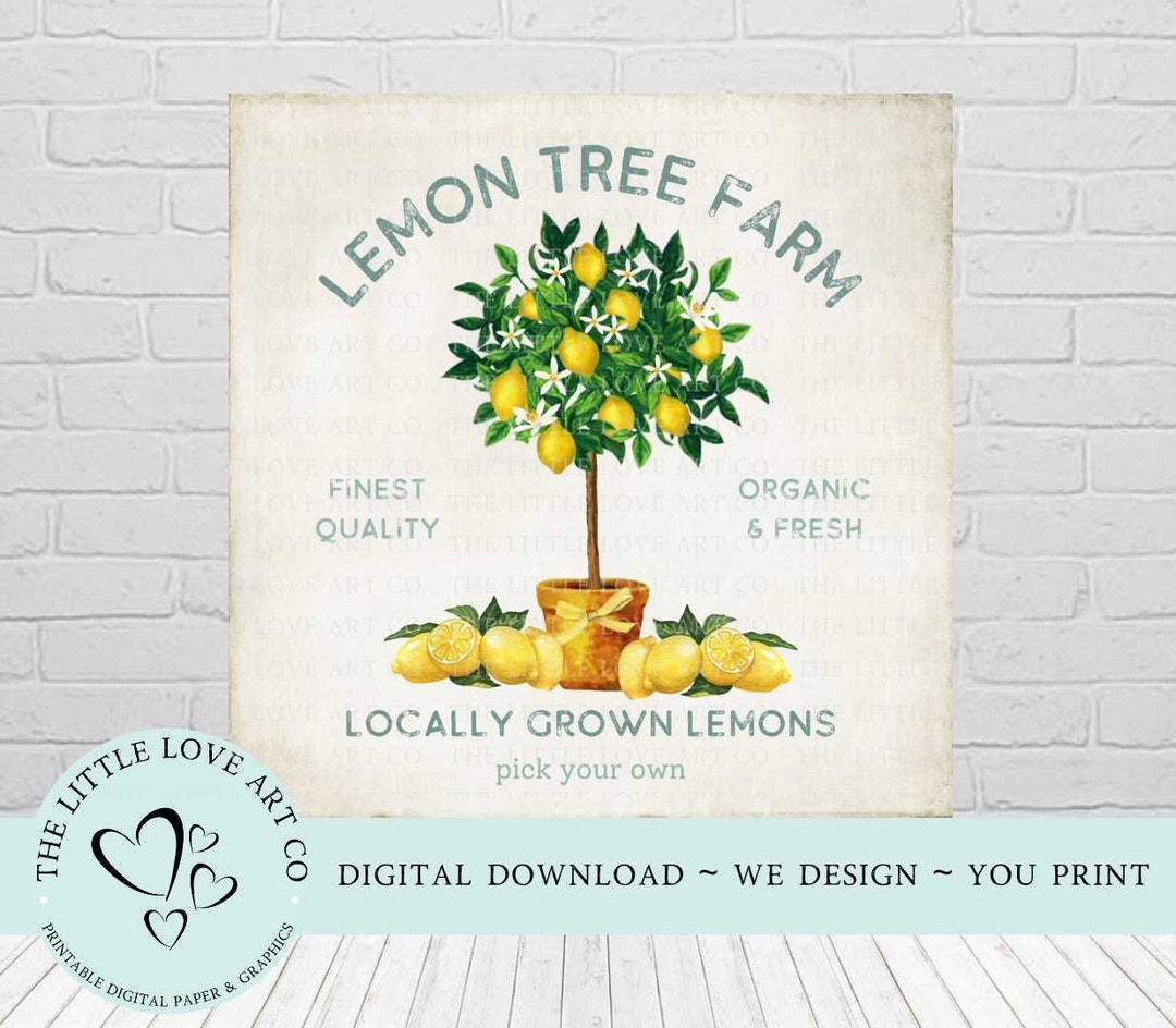 Lemon Tree Farm Sign Design, Farmers Market Lemons Png, Summer Lemons ...