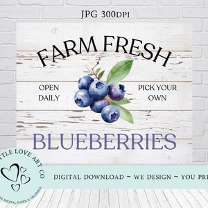 10 X 8 Farm Fresh Blueberries Wall Art Print, JPG, Blueberry Art Print ...