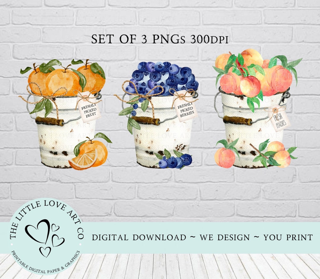 Set of 3 - Rustic Fruit Buckets PNG, Blueberry Sublimation Design, Farm ...