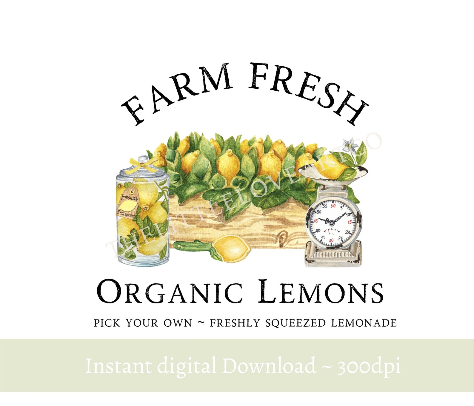 Farm Fresh Organic Lemons Design Lemons Png Lemonade Sign - Etsy