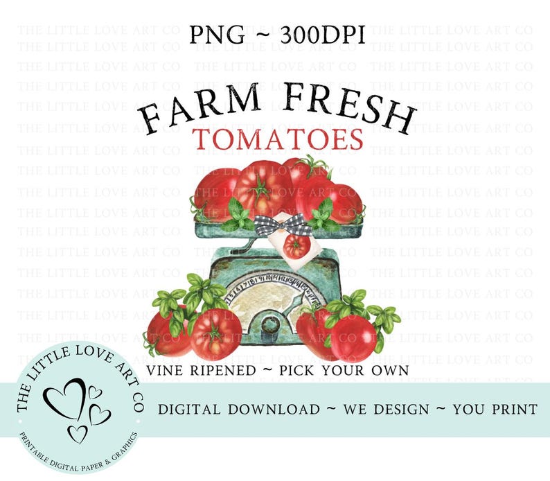 4 X Farm Fresh Tomato PNG Designs, Tomato Sublimation, Farm Fresh ...