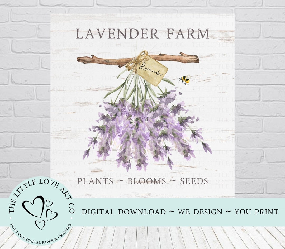 Lavender Farm Sign Design, Lavender Flower Bunch, Farmhouse Decor ...