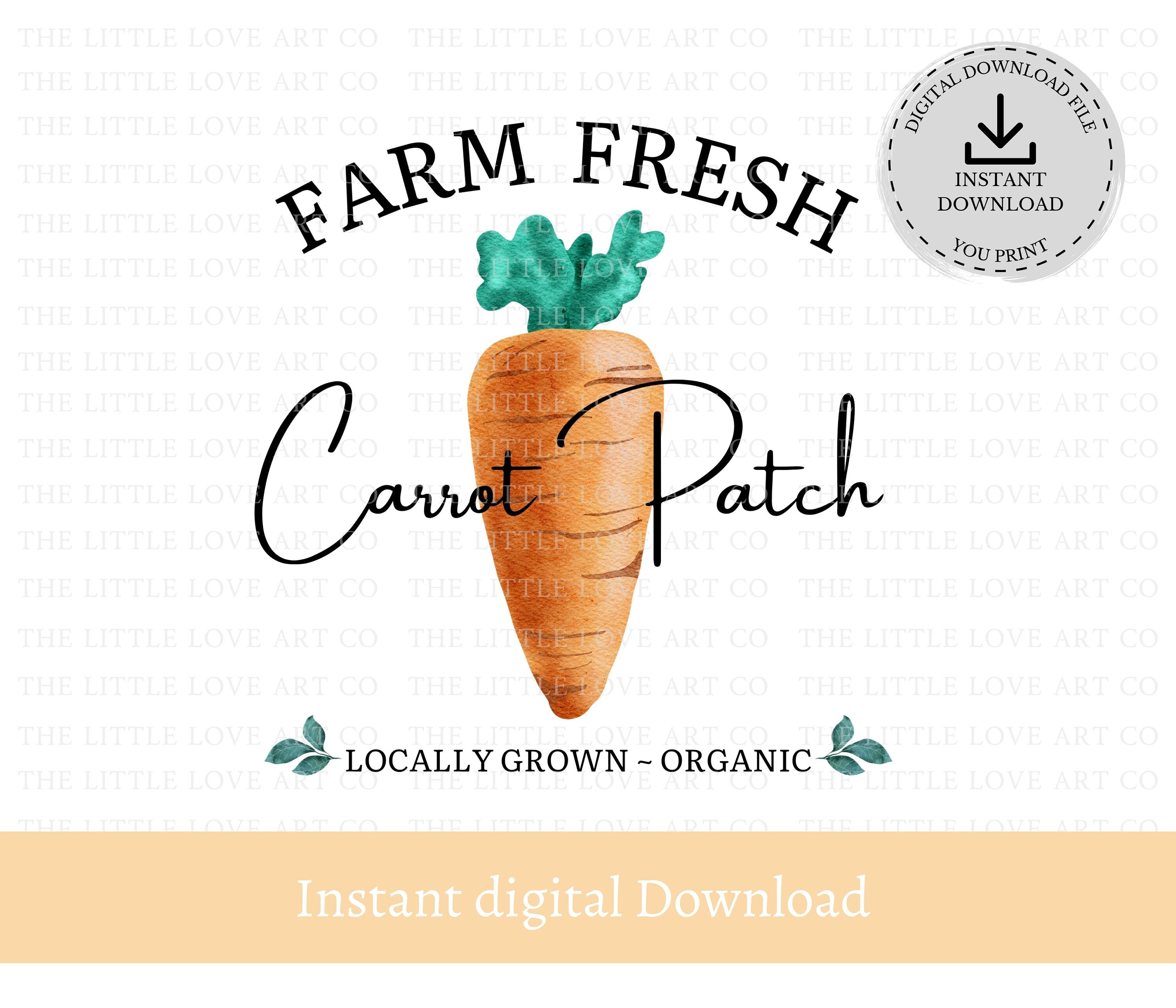 Farm Fresh Carrot Patch Sign Design Easter Carrot Sign | Etsy