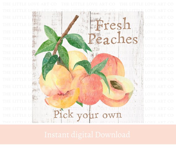 Fresh Peaches Sign Design Peaches Sign Farmhouse Decor - Etsy