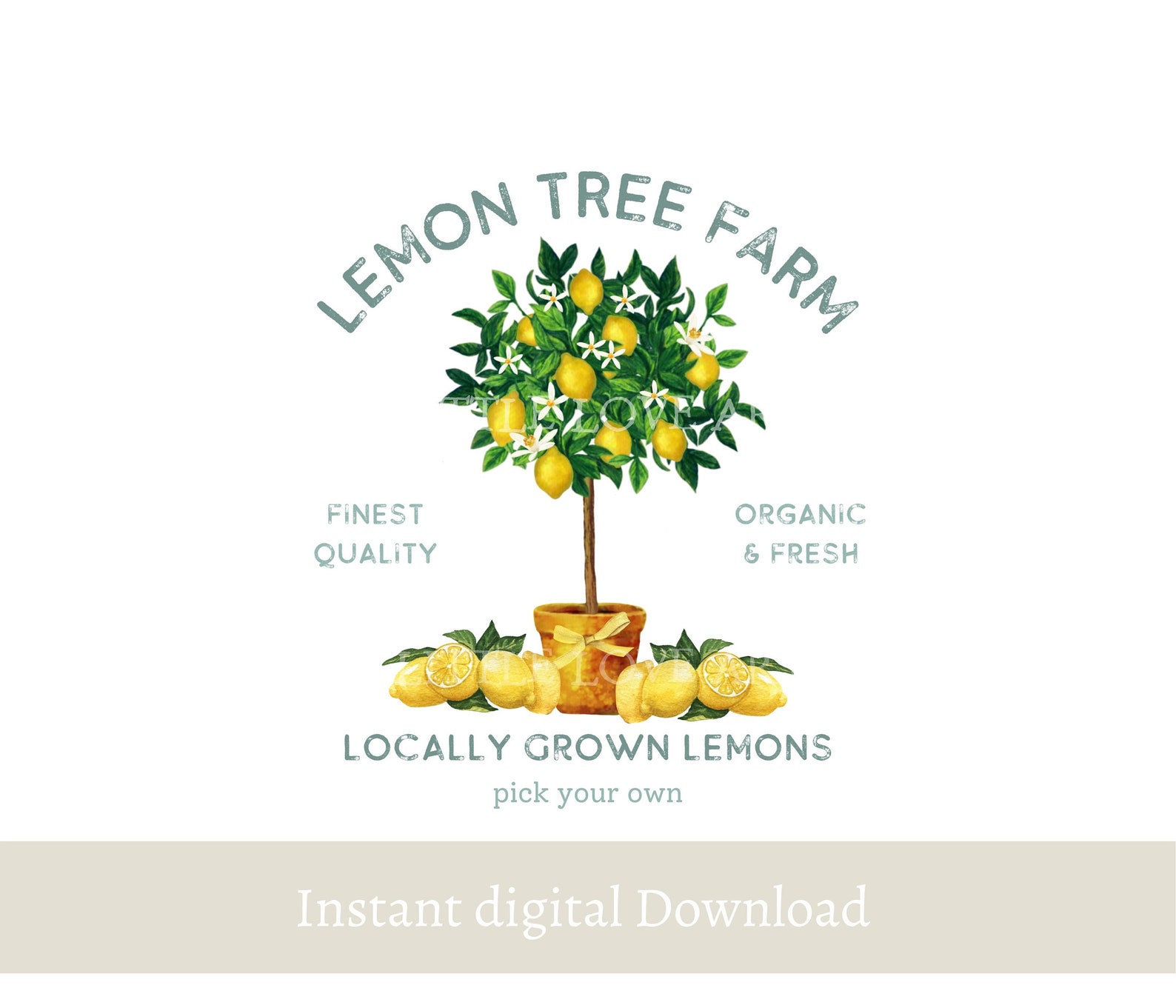 Lemon Tree Farm Sign Design Farmers Market Lemons Png Summer | Etsy
