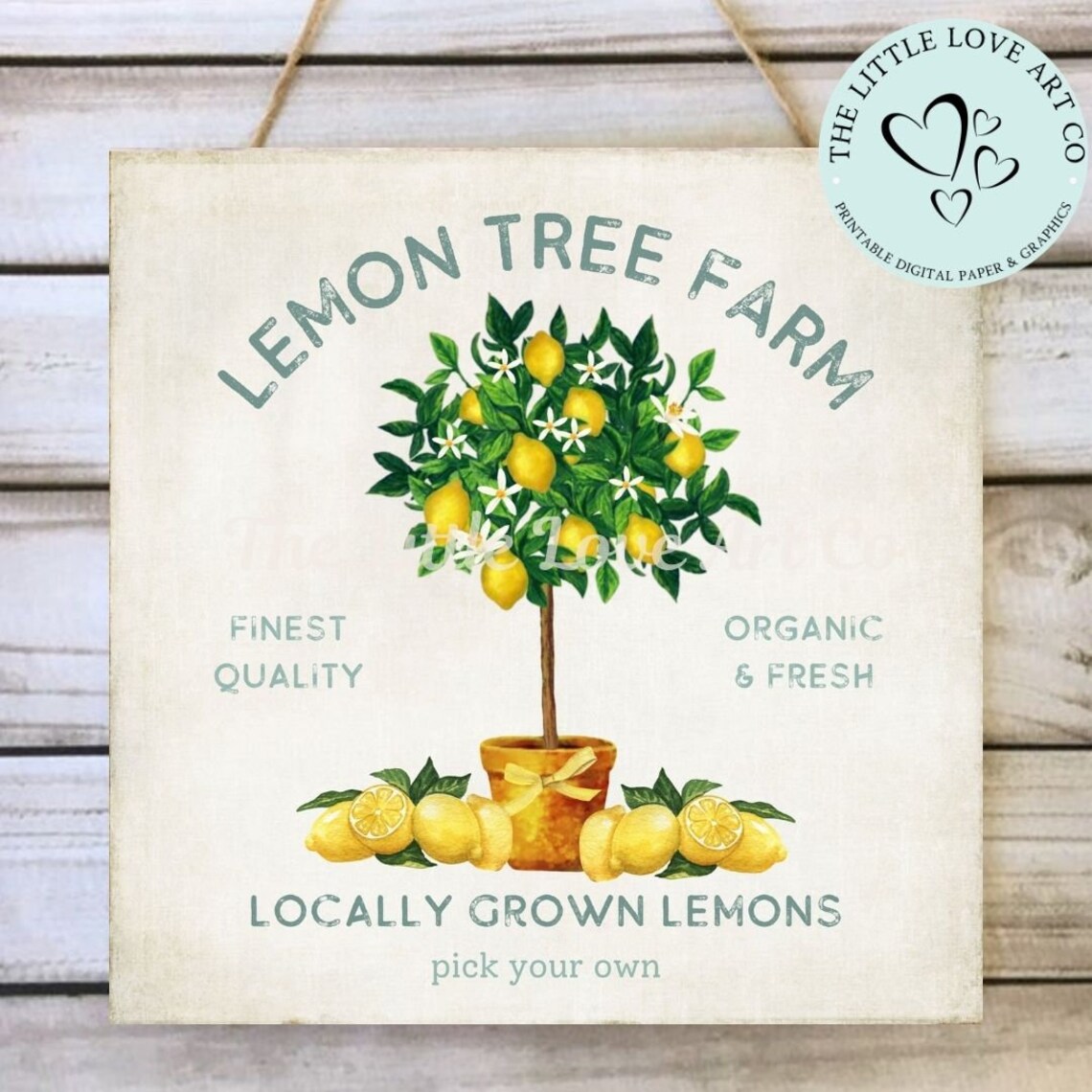 Lemon Tree Farm Sign Design Farmers Market Lemons Png Summer | Etsy