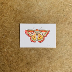 Colorful Moth Art | Digital Art Print, Printable Art, Art Print ...