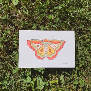 Colorful Moth Art | Digital Art Print, Printable Art, Art Print ...