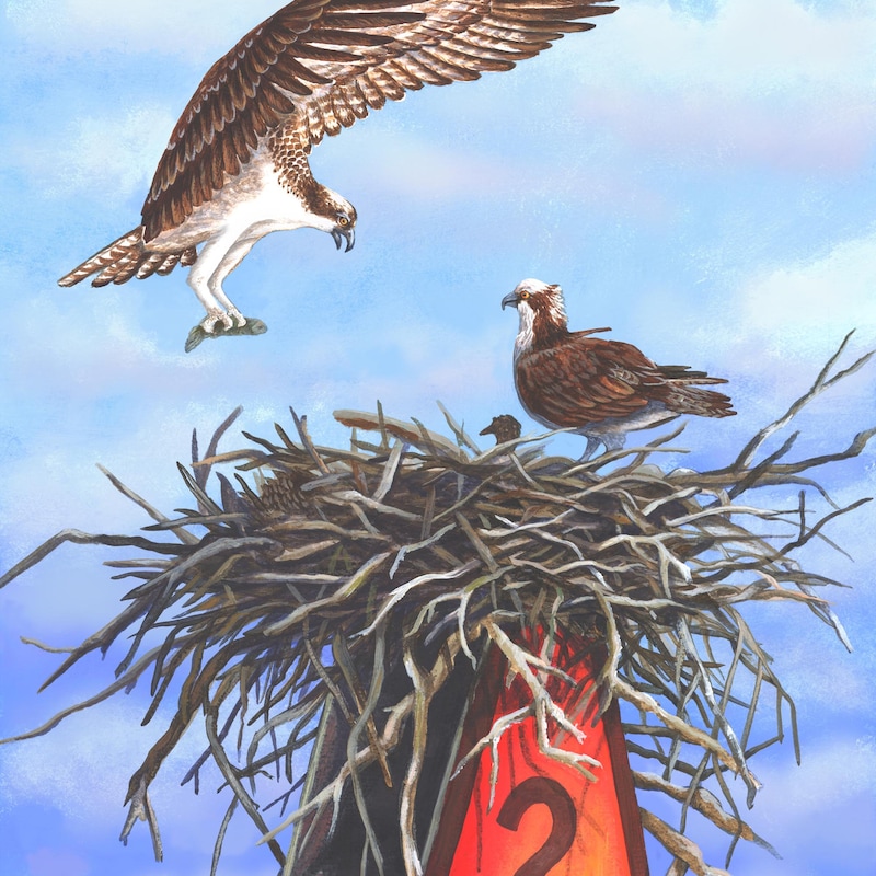 Red Right Return - Etsy