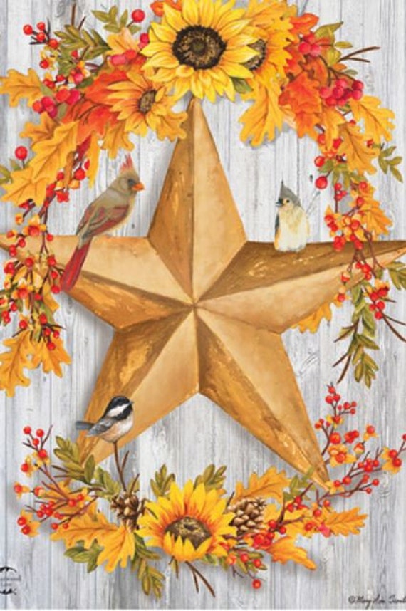 Rustic Barn Star | Etsy