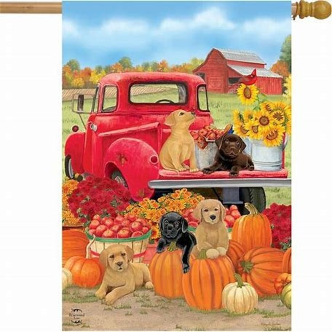 Fall Puppies - Etsy