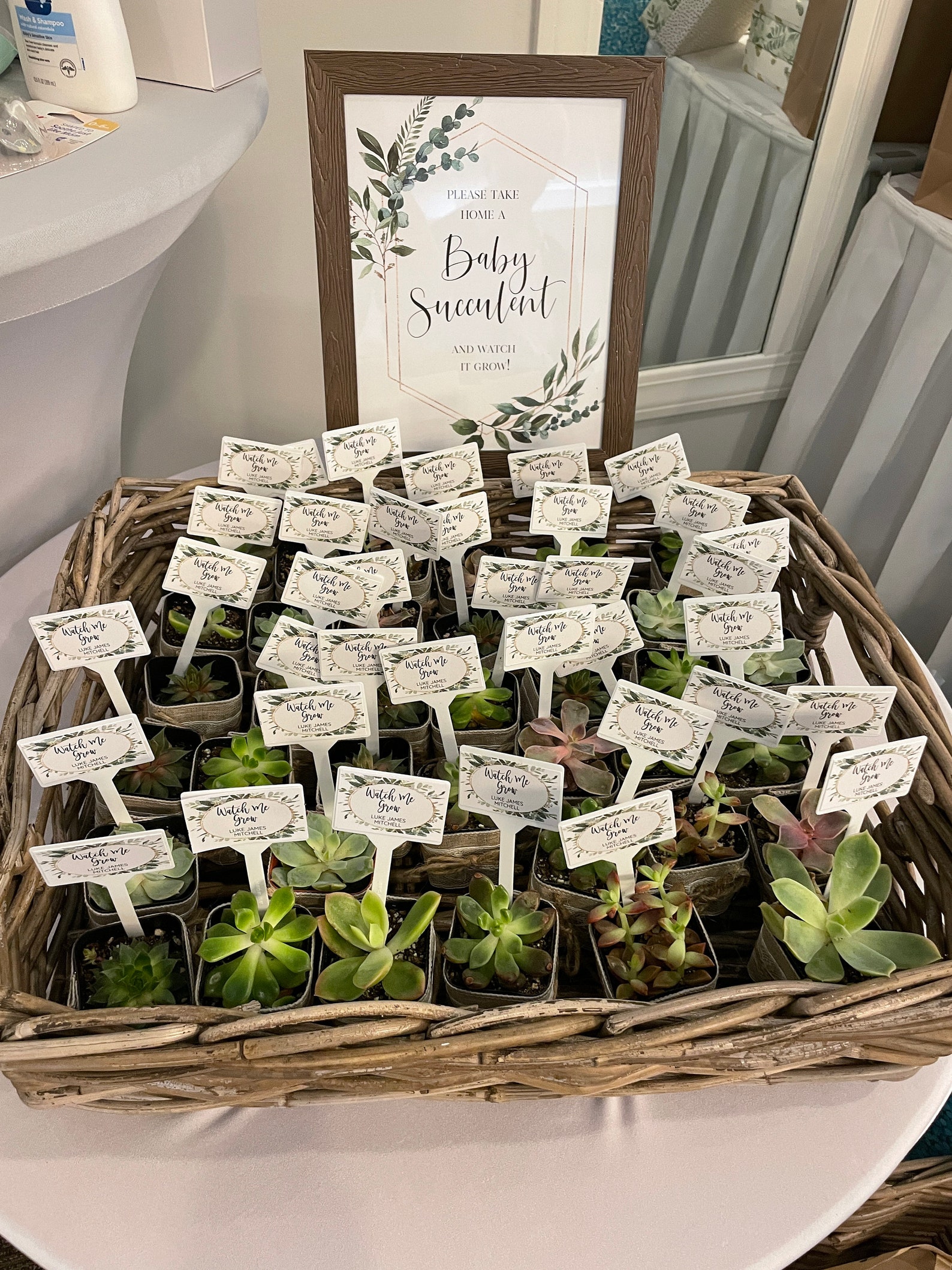 Succulent Baby Shower Favor Sign and Plant Sign - Etsy