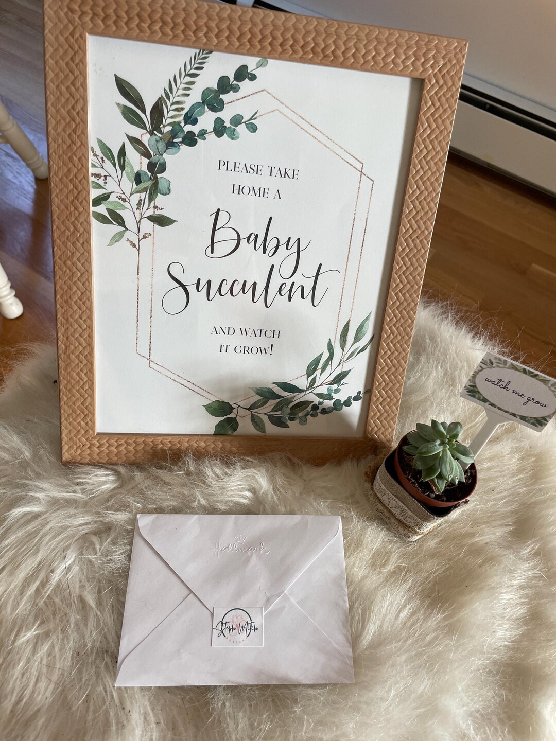 Succulent Baby Shower Favor Sign and Plant Sign - Etsy