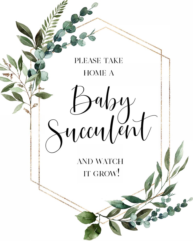 Succulent Baby Shower Favor Sign and Plant Sign - Etsy