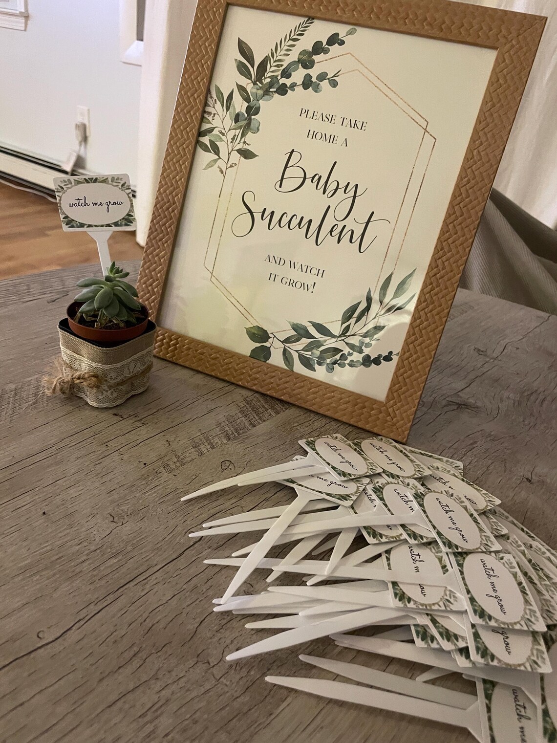 Succulent Baby Shower Favor Sign and Plant Sign - Etsy