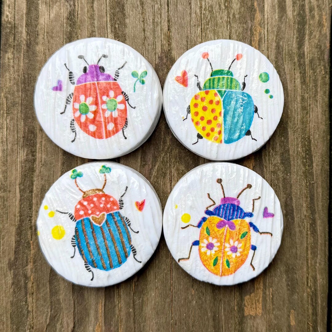 Beetle Magnets, Fridge Magnets, Bug Magnets, Refrigerator Magnets, Set ...