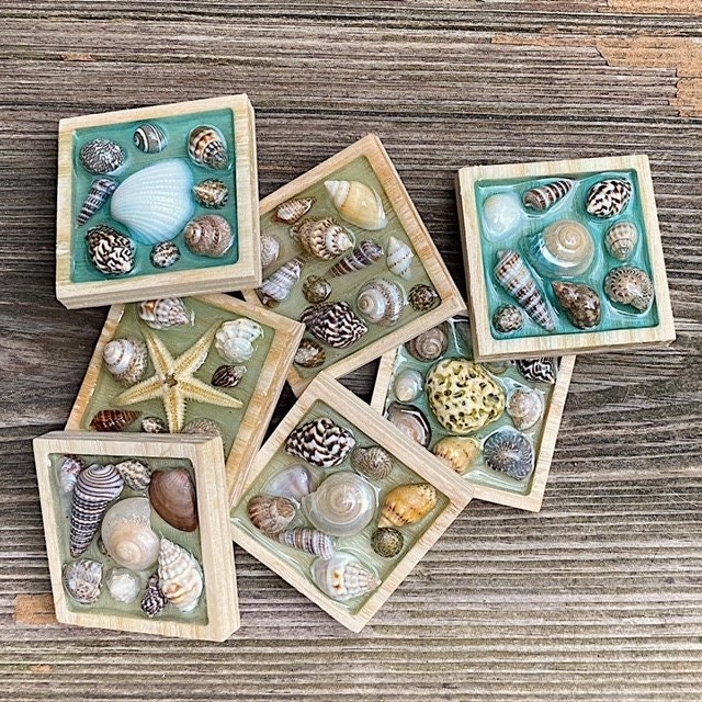 Shell Magnet Nautical Magnet Shell Decor Refrigerator - Etsy