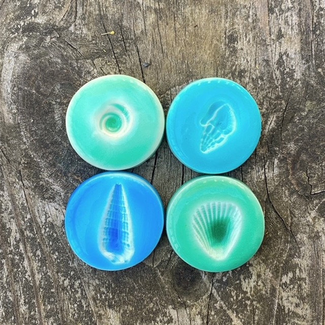 Shell Magnets, Fridge Magnets, Beach Magnets - Etsy