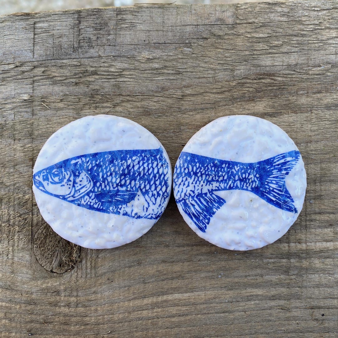 Fish Magnets, Fridge Magnets, Beach Magnets, Nautical Magnets - Etsy