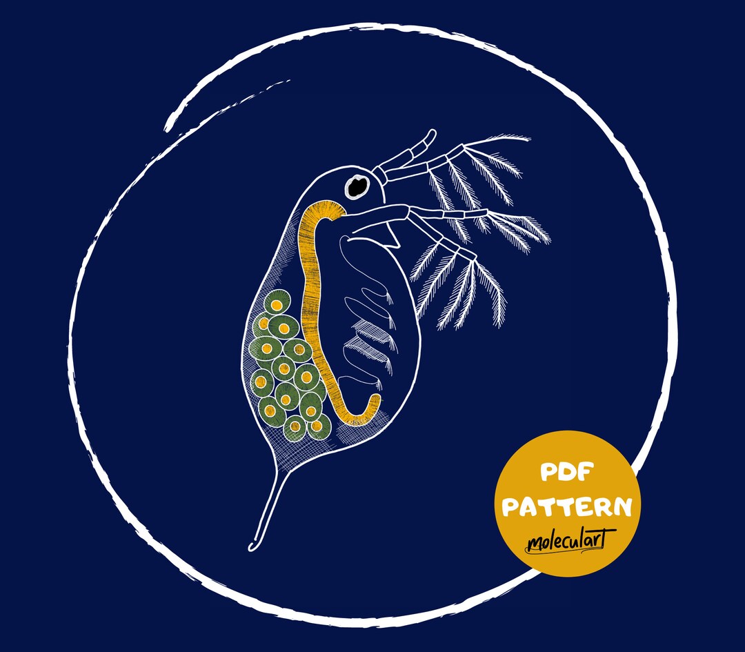 PDF PATTERN Daphnia Magna (instant Download) - Etsy