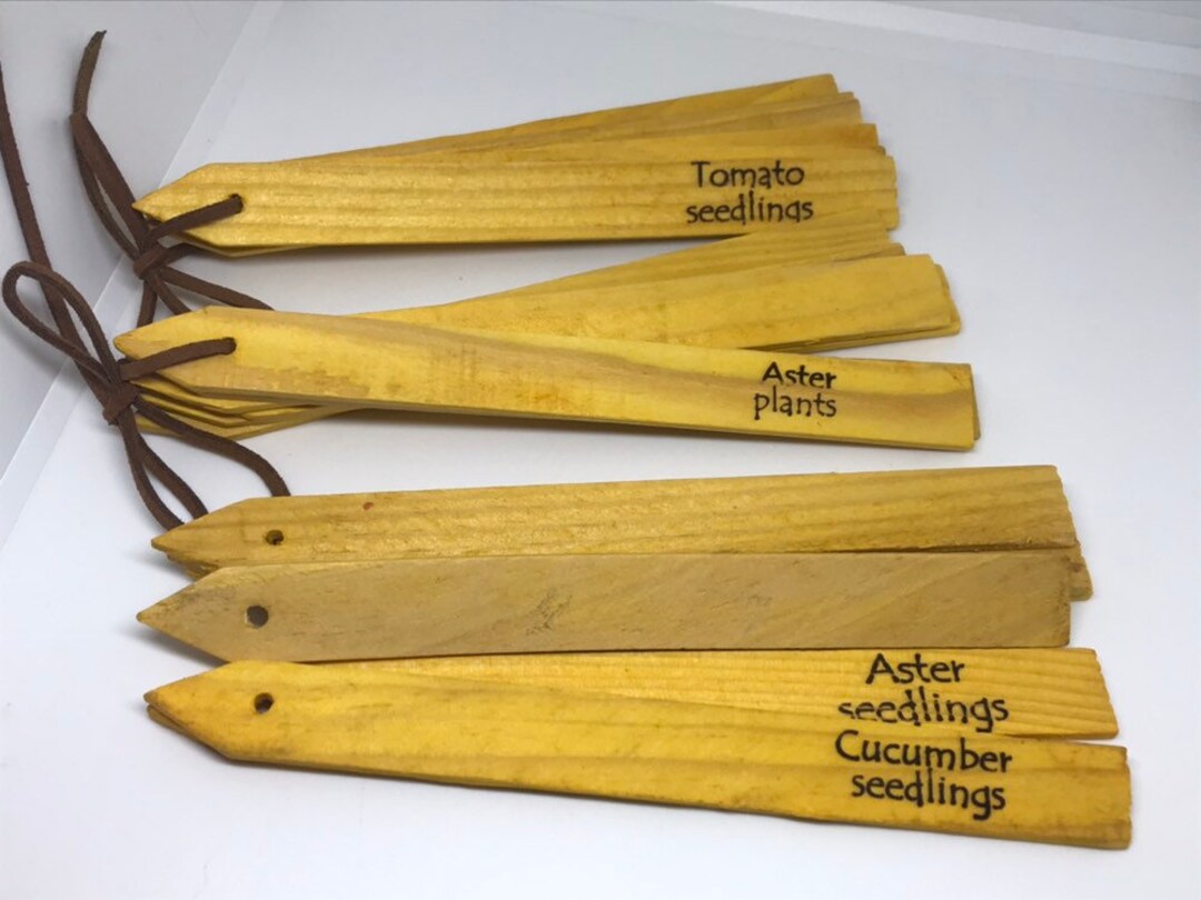 Plants Stick,set of 6 Wooden Sticks,seedlings Sticks,garden Pins,gift ...