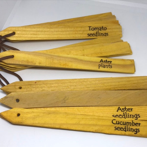Wooden Personalized Plant Sticks - Etsy