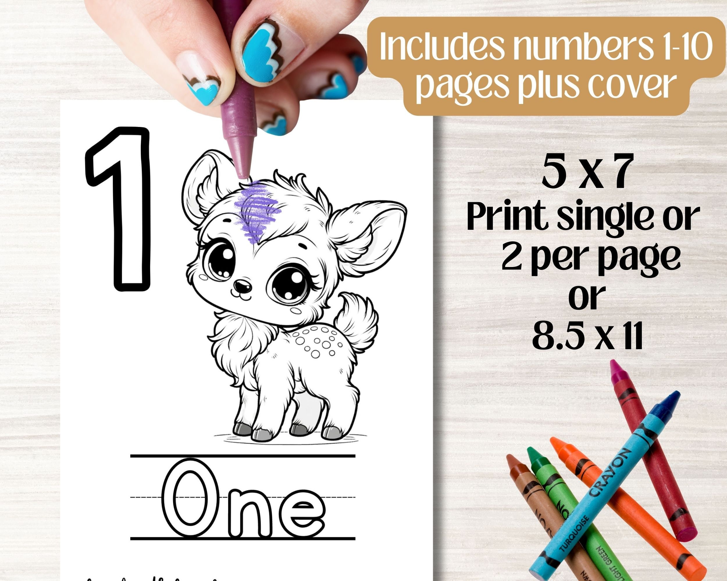 Baby's First 123 Book, Numbers Coloring Pages, Counting Animals, Baby's ...