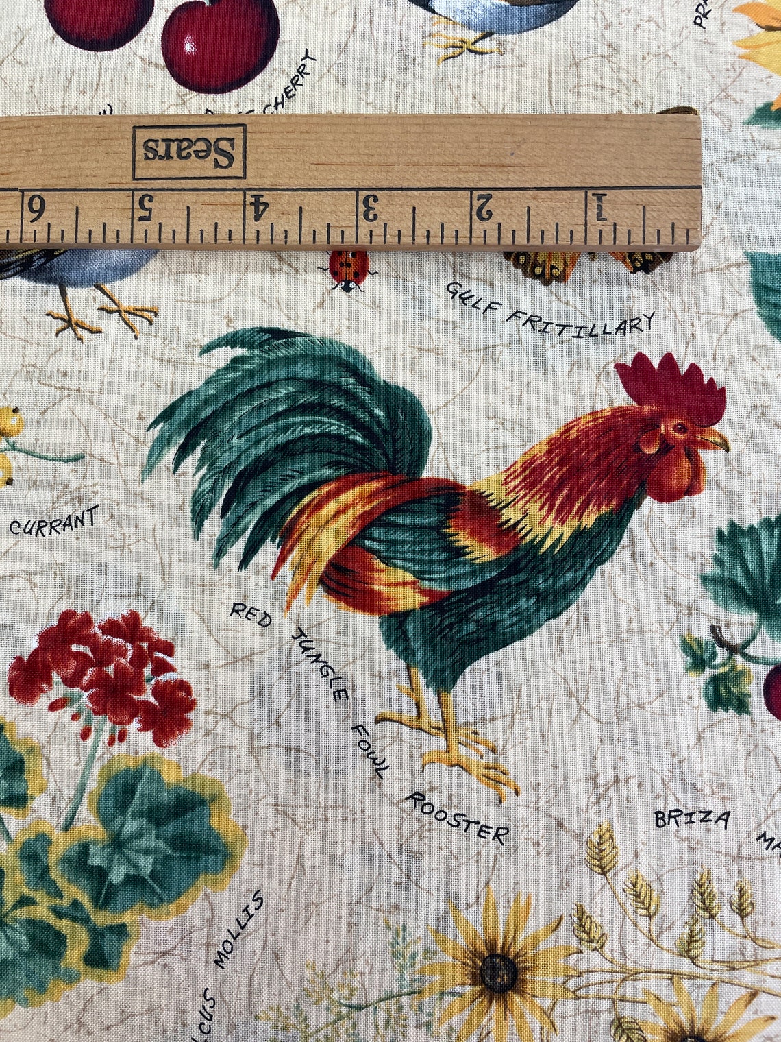 Rooster Fabric With Birds Bees Flowers and Fruit by Robert - Etsy