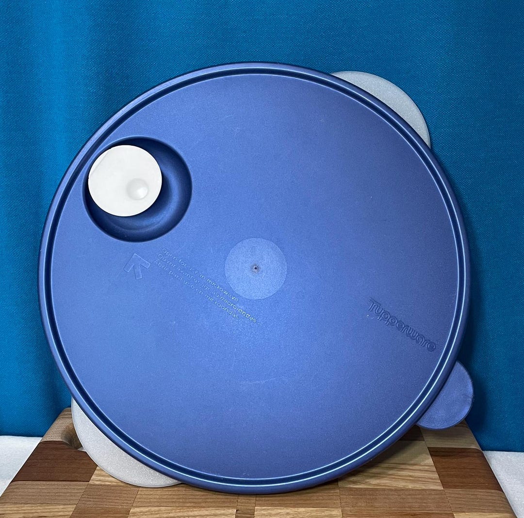 Vintage Tupperware Divided Dish for Lunch on the Go. Vented for ...