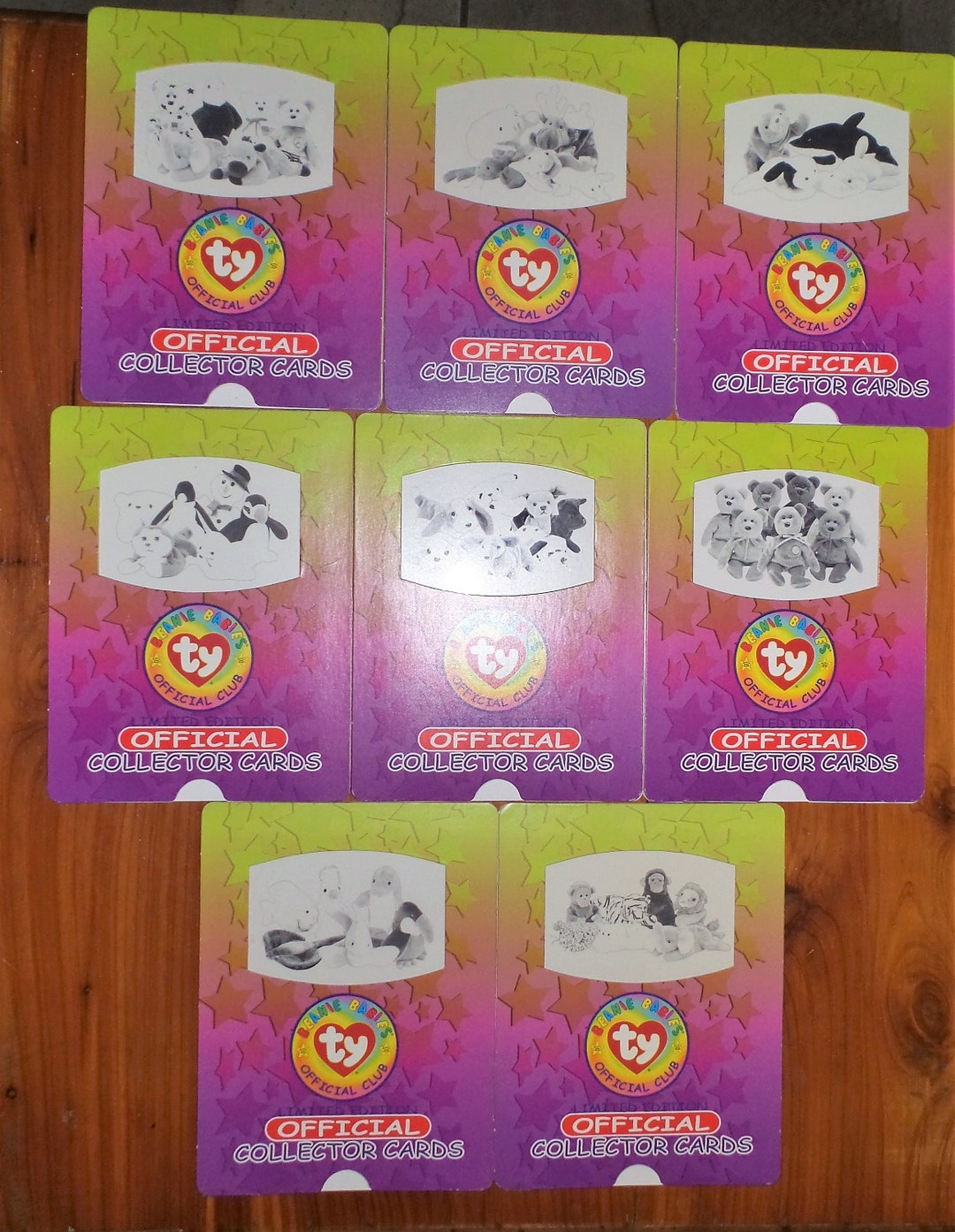 Collectors TY Beanie Babies Official Collectors Club Edition Slider ...