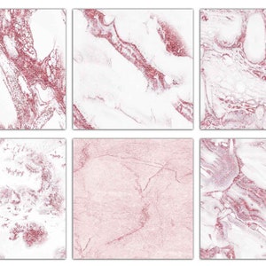 Rose Gold Marble Digital Paper Seamless Patterns Glitter - Etsy