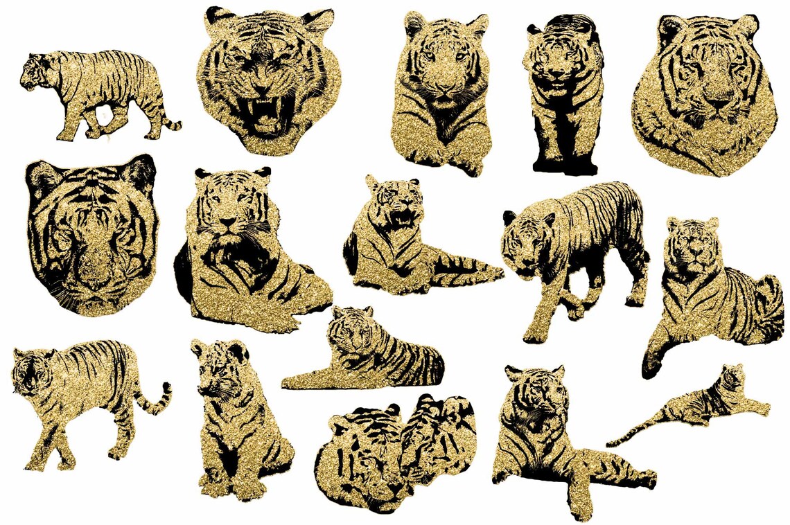 Gold glitter tiger animals clipart wild africa zoo asian | Etsy