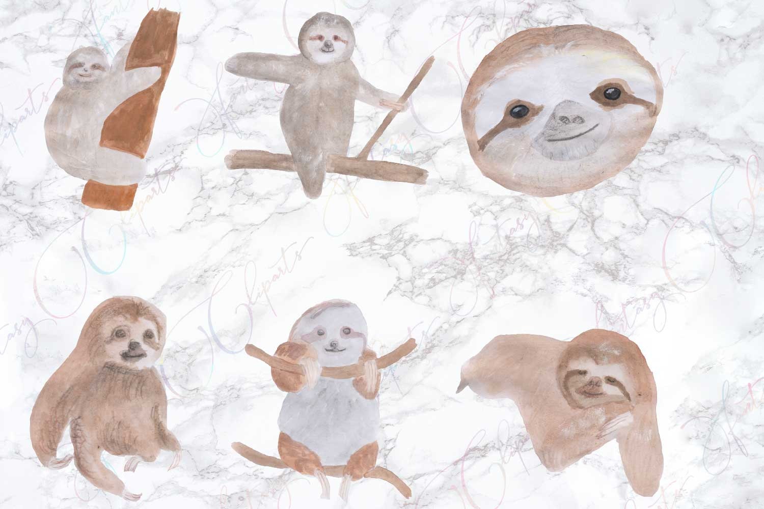 Watercolor hand drawn sloths clipart cute sloth clip art in | Etsy