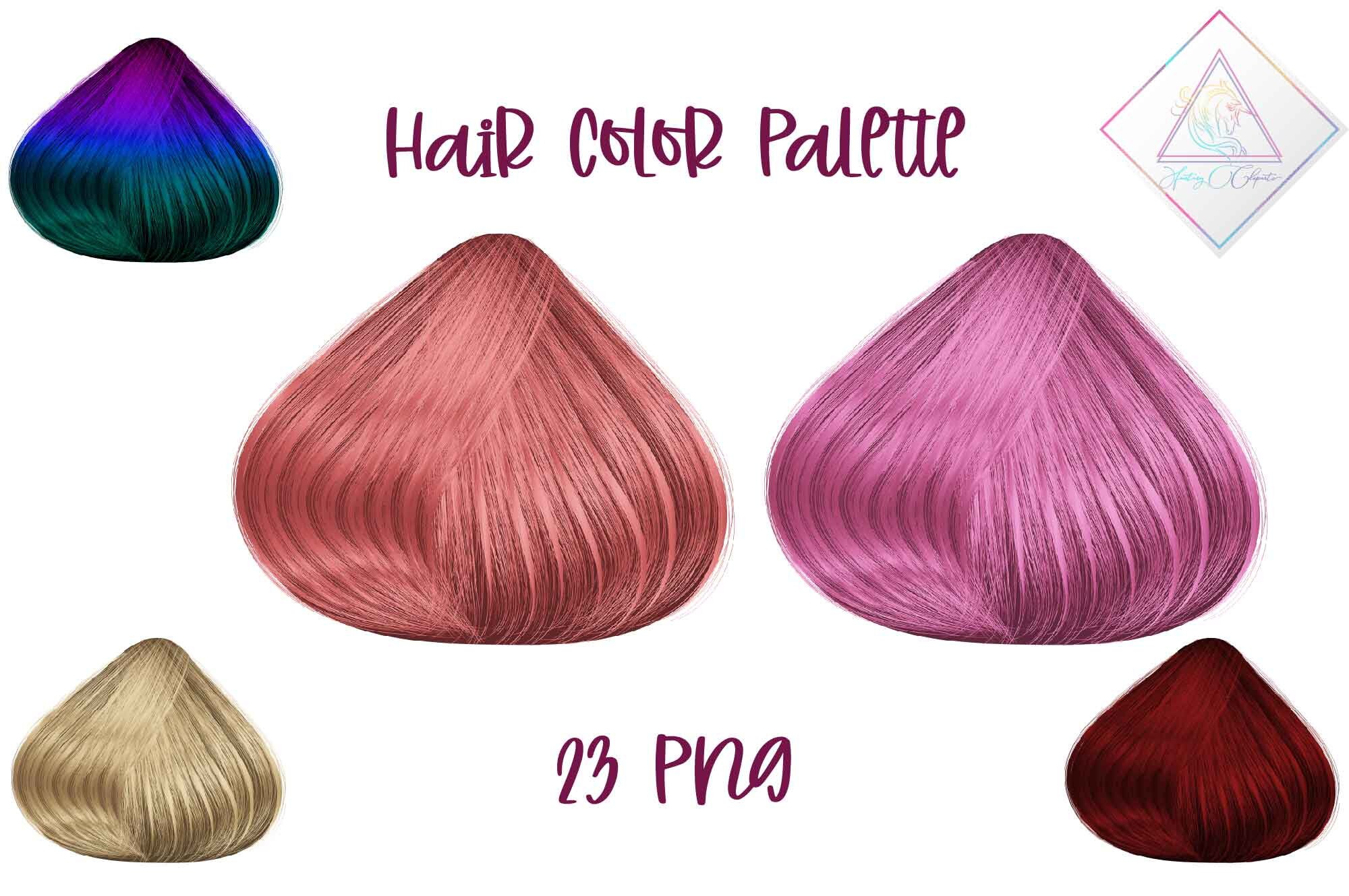 Hair color palette digital clipart dyed hairstyle | Etsy