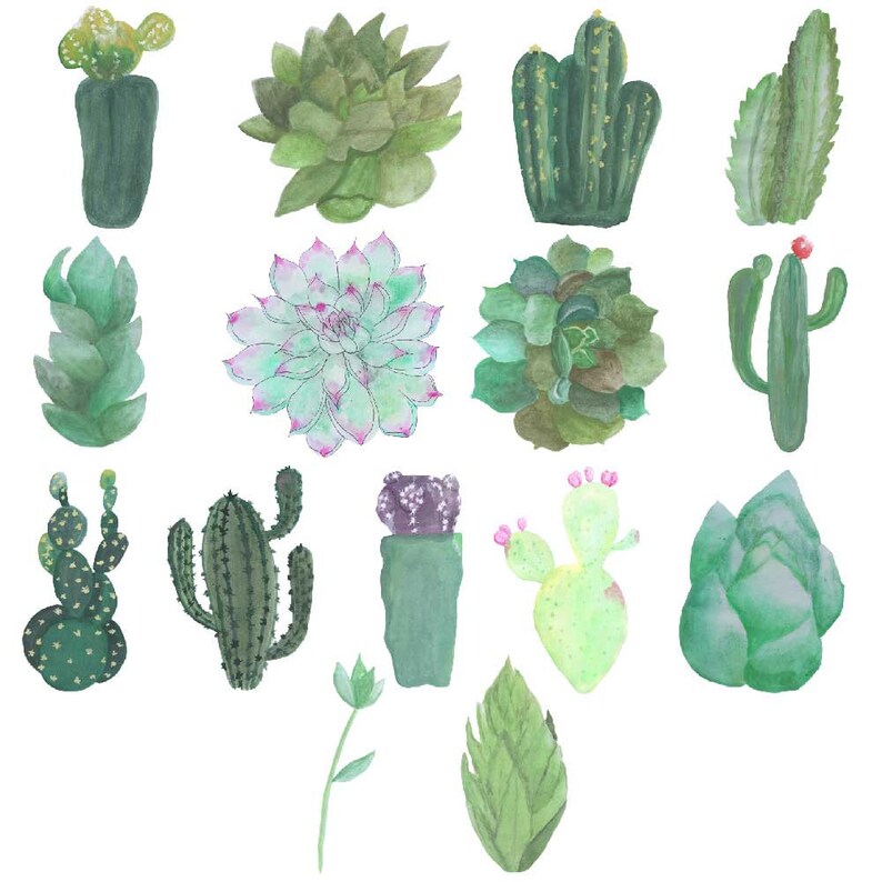 Hand Drawn Cactuses Succulent Clipart Watercolor Cactus - Etsy