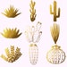 Cactus Clipart, Succulent Clip Art, Cacti Graphics, Gold Succulents ...